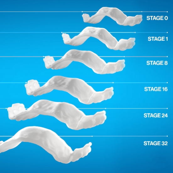 Ann Arbor Orthodontics